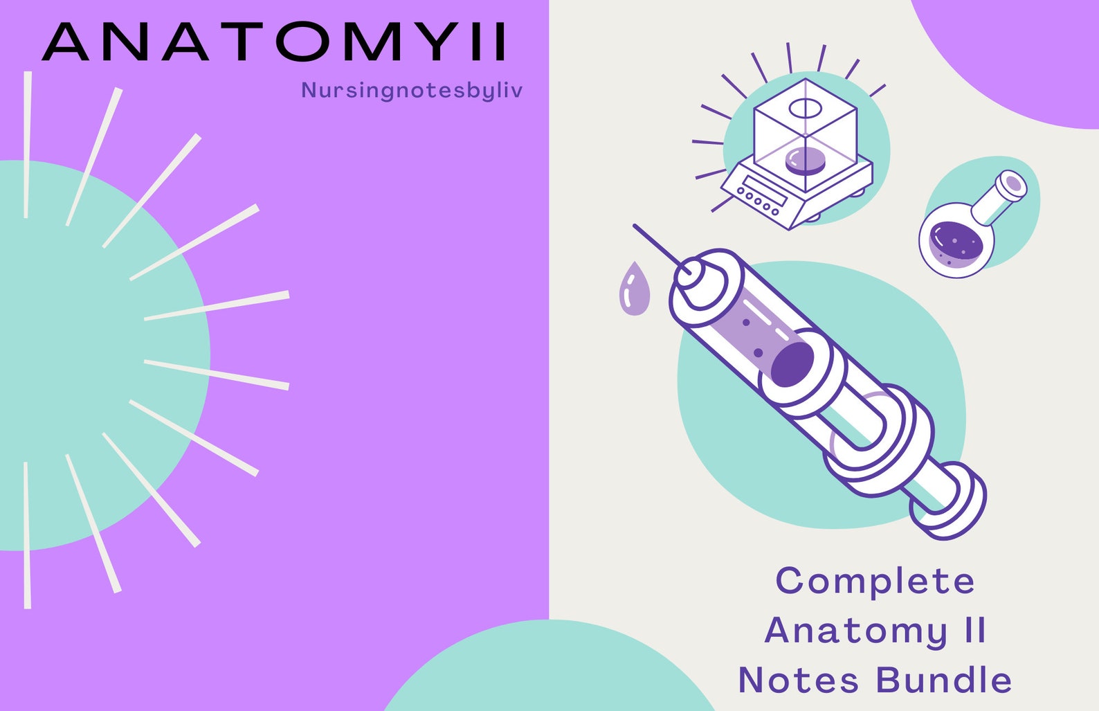 Anatomy II Complete Notes Bundle - Etsy