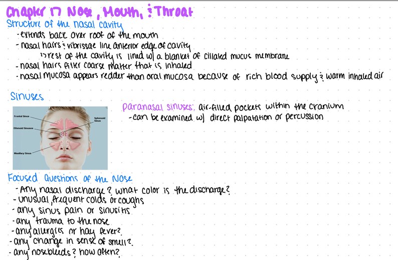 Mouth, Nose, and Throat Assessment Study Guide - Etsy