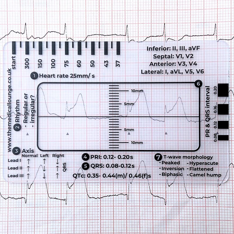 Ekg - Etsy