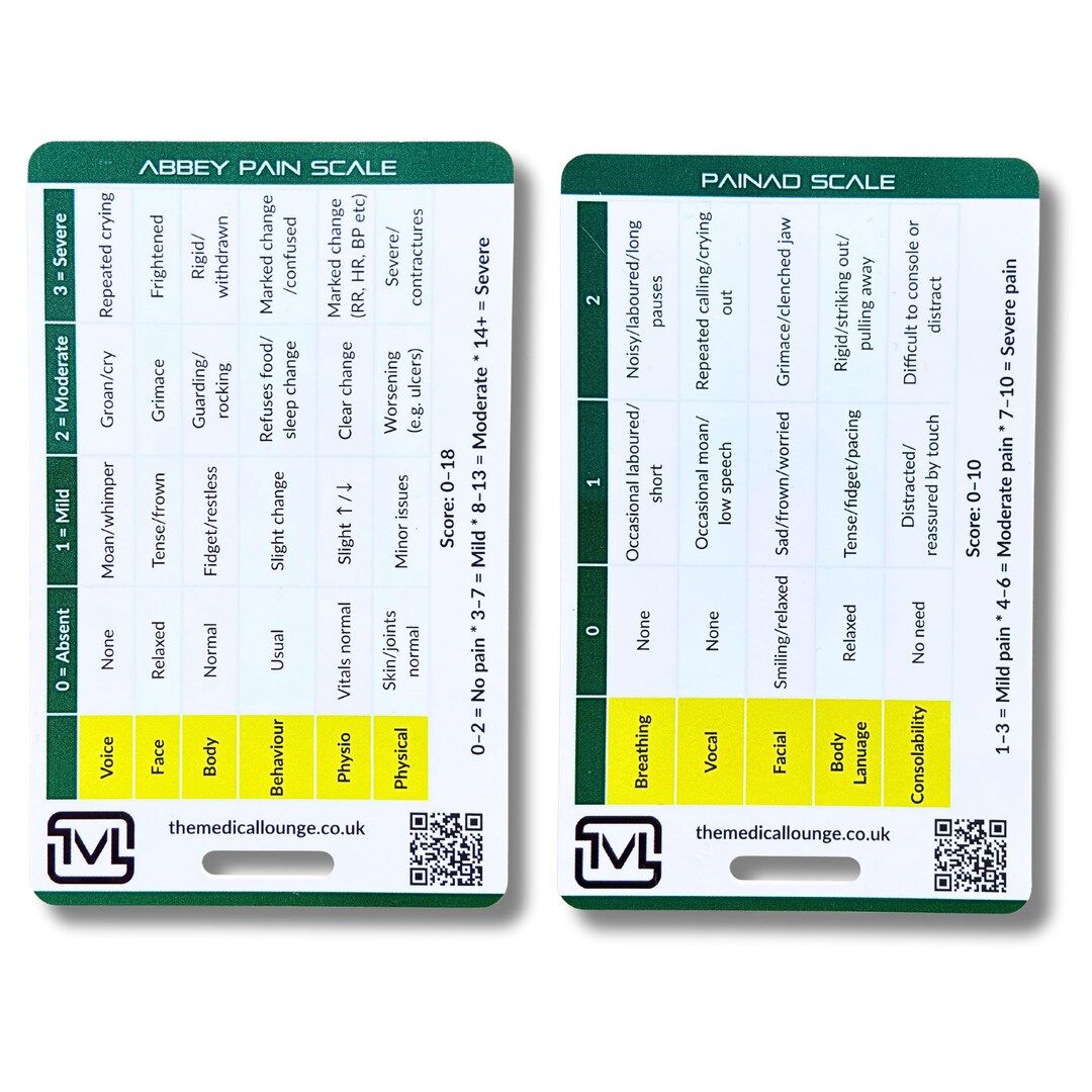Abbey Pain Scale & Painad – Cognitive Impairment Pain Assessment ...
