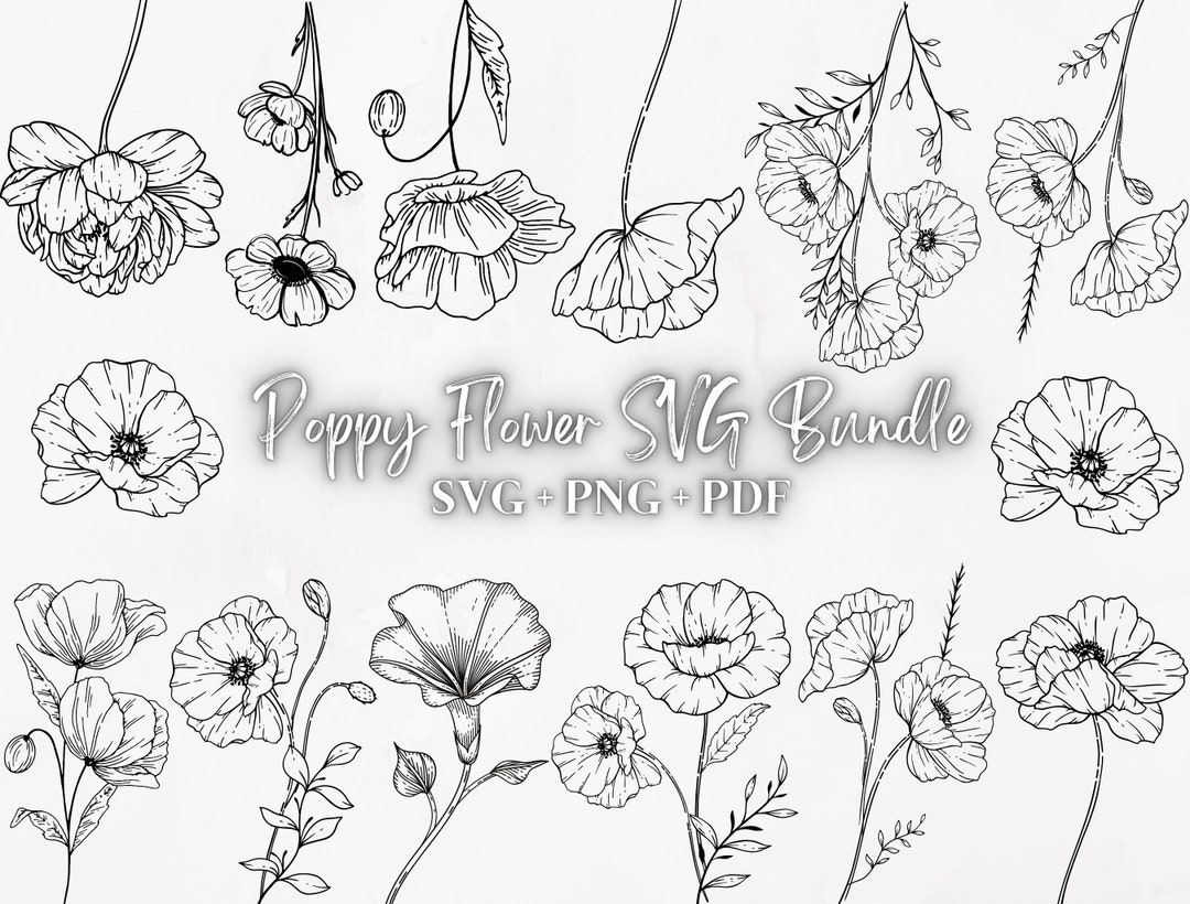 Poppy Line Art Clip Art, Hand Drawn Vector Illustrations, Botanical ...