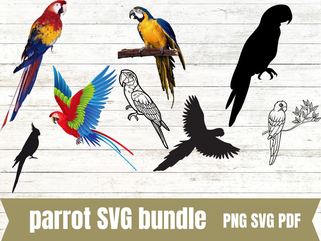 Parrot SVG Bundle Parrot SVG Parrot Clipart Parrot - Etsy