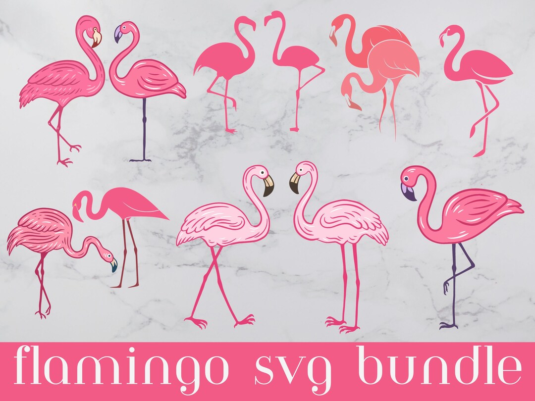 Flamingo SVG Cut File, Flamingo PNG, Flamingo Svg for Cricut ...