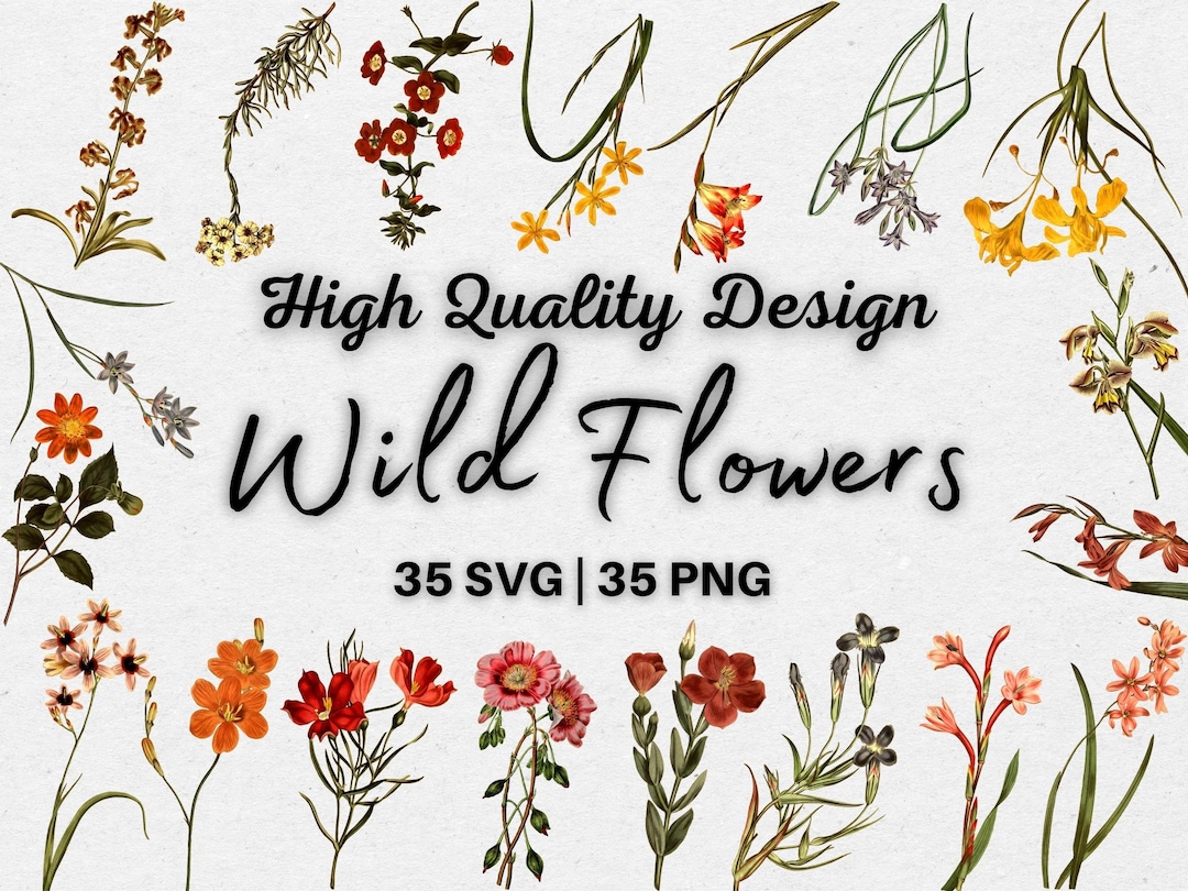 Colorful Wildflower Svg, Flower Svg, Wildflower Clipart, Wildflower Svg ...