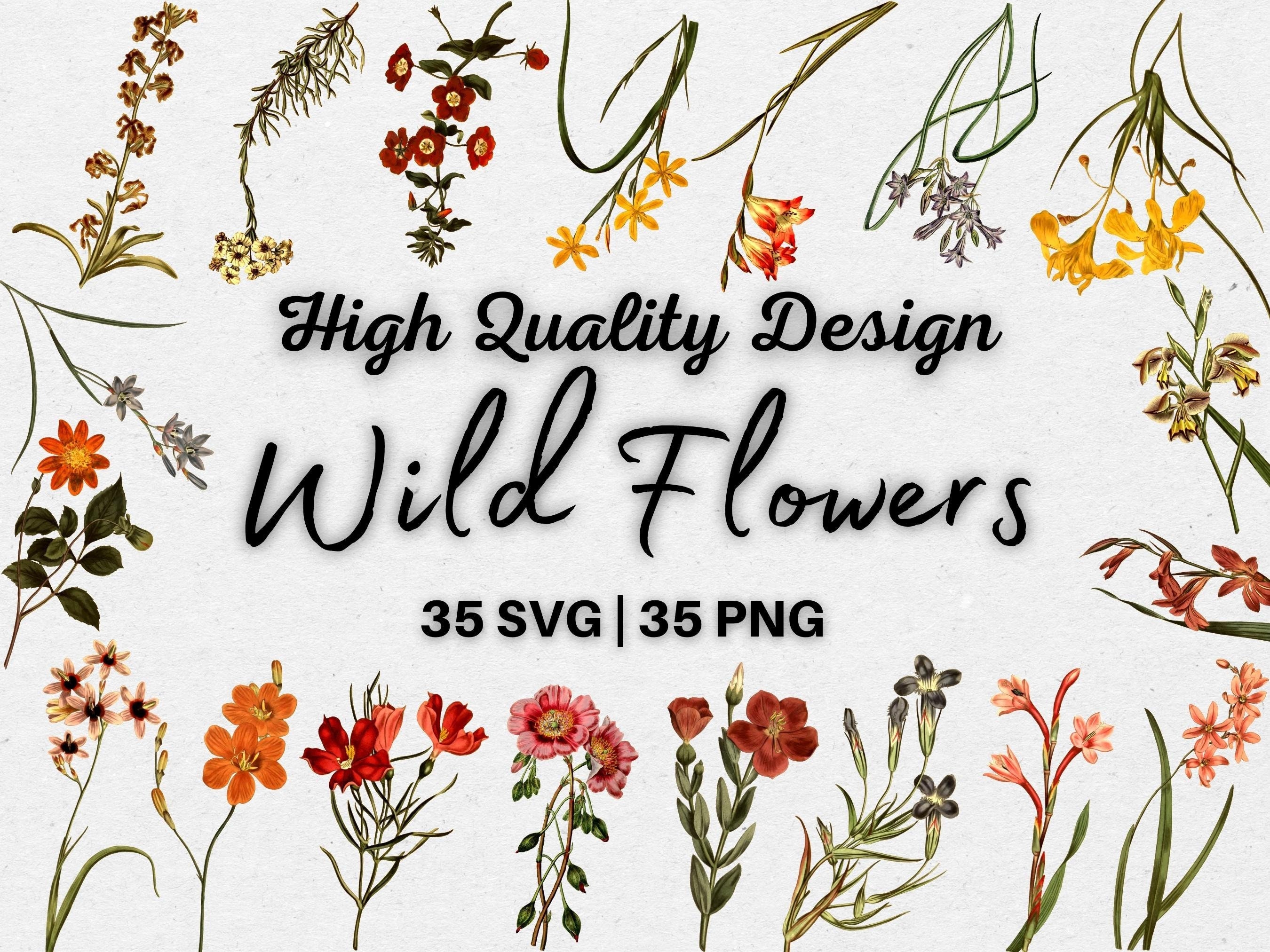 Colorful Wildflower Svg, Flower Svg, Wildflower Clipart, Wildflower Svg ...