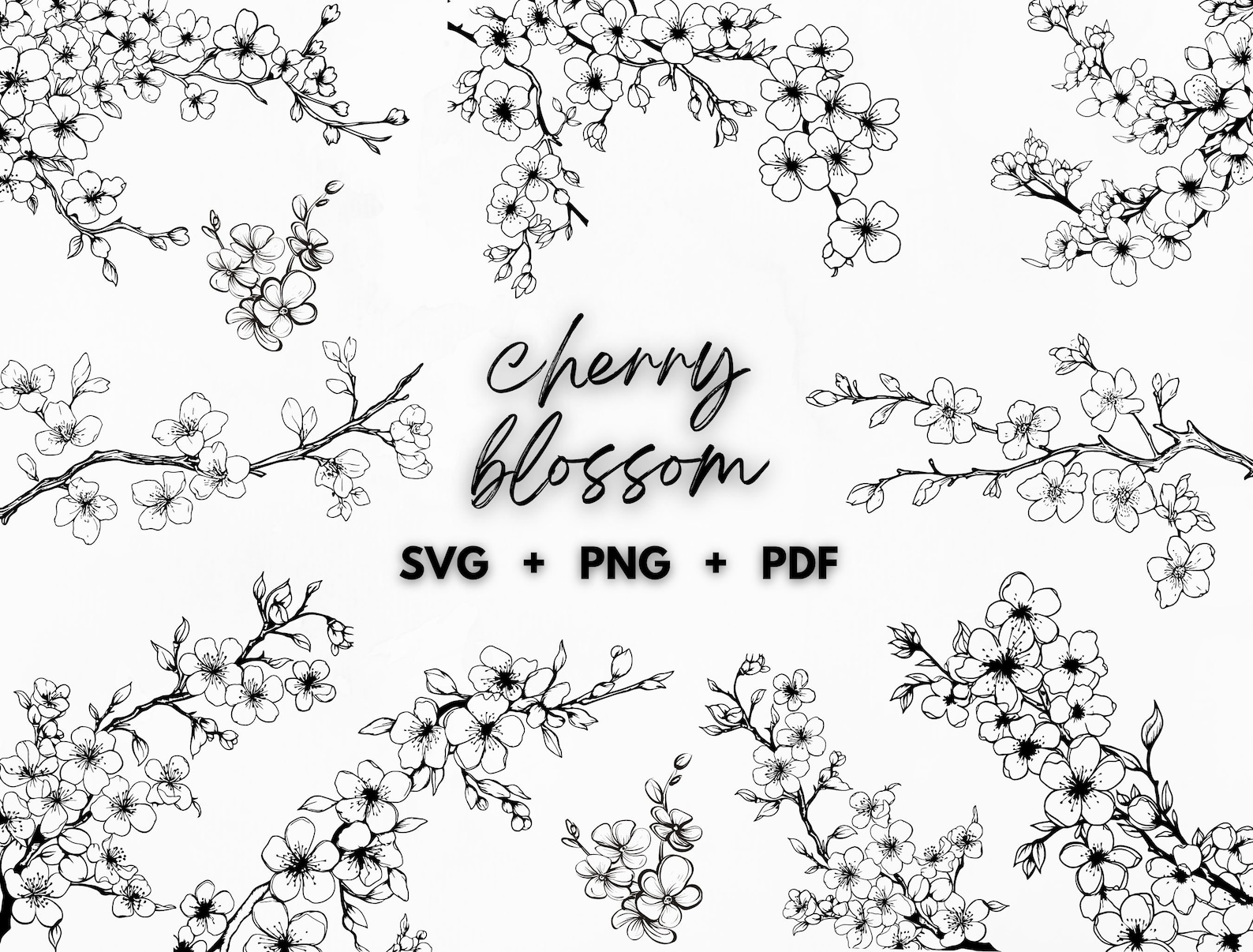 Cherry Blossom Svg, Cherry Blossom Png, Cherry Blossom Clipart, Svg ...