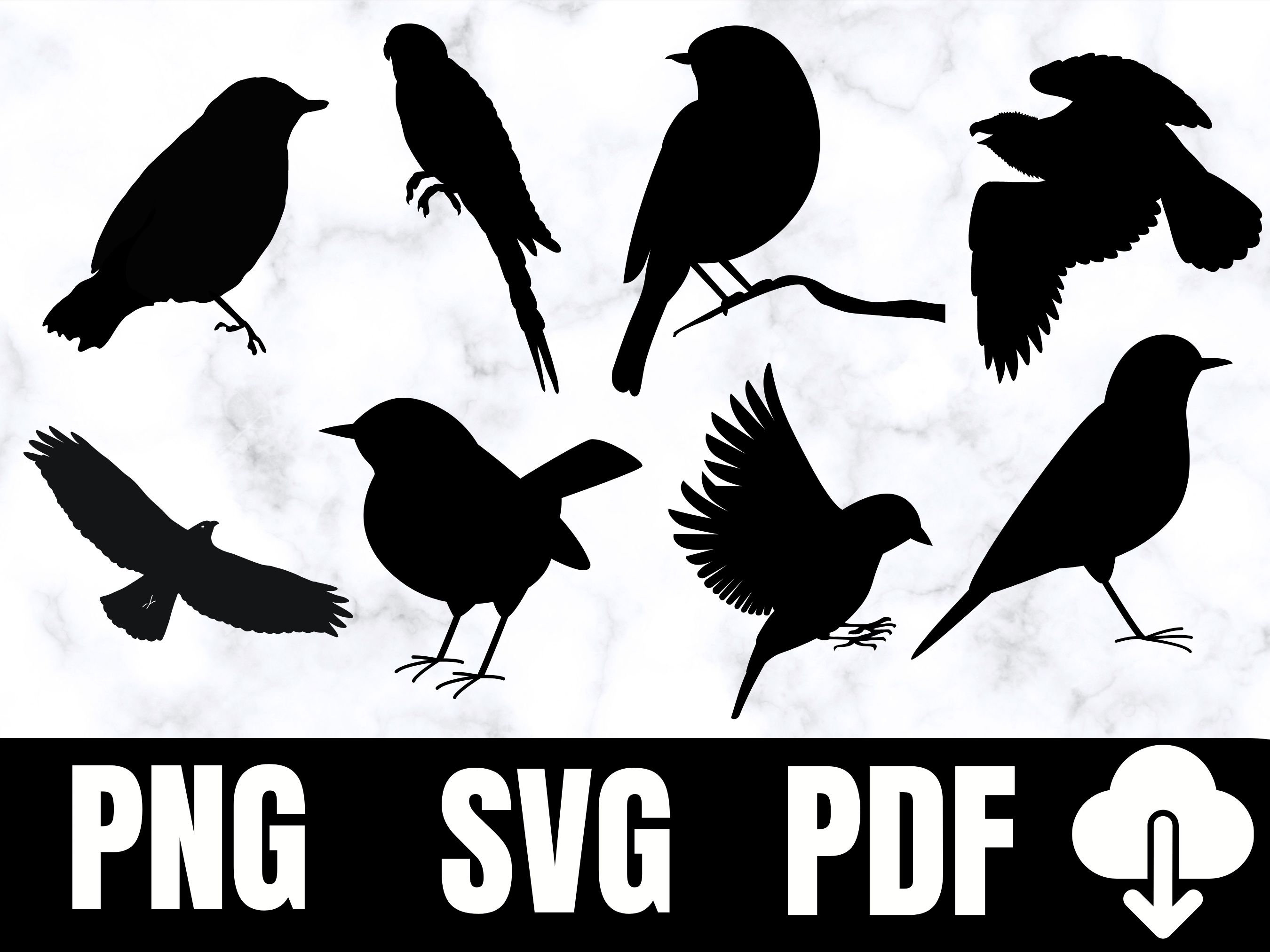 Vogel-Svg-Bundle, Vögel zwar-Svg, fliegender Vogel svg, Vögel Clipart ...