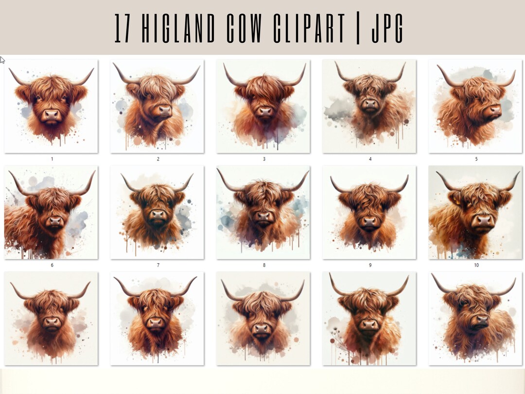 Highland Cow Clipart Pack - 17 High-quality Jpgs - Digital Download ...