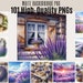 Lavender Set Clipart Bundle 101 High-quality Pngs, Digital Paper ...