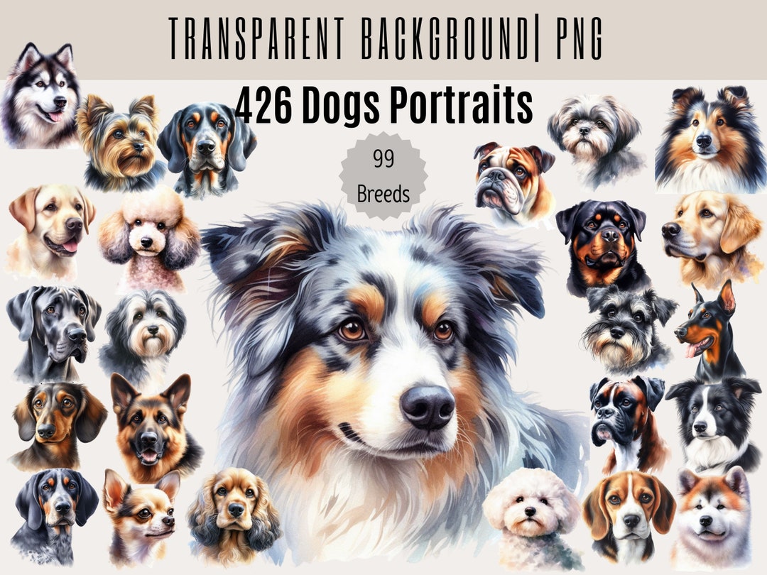 Watercolor Dog Clipart Bundle: 426 Dog Breeds PNG (digital Download) - Etsy