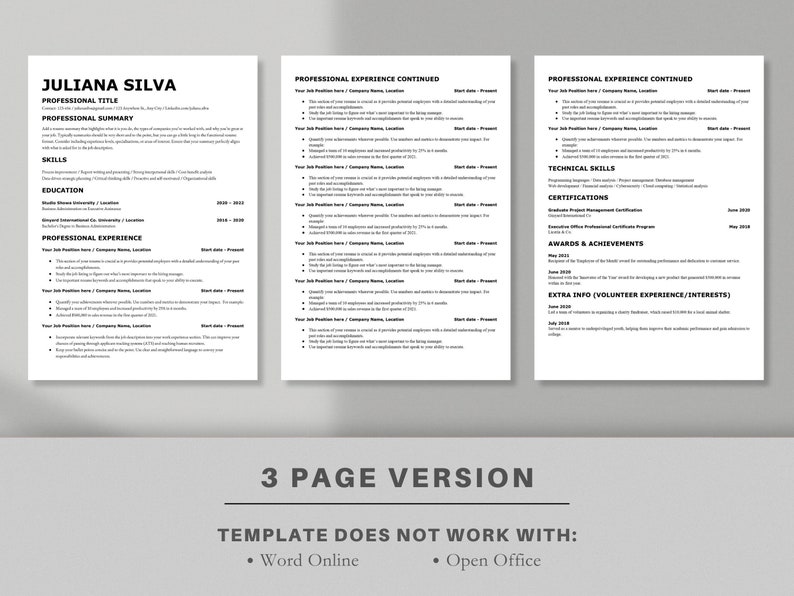 Google Docs Resume Template Google Docs ATS Friendly Word Resume ...