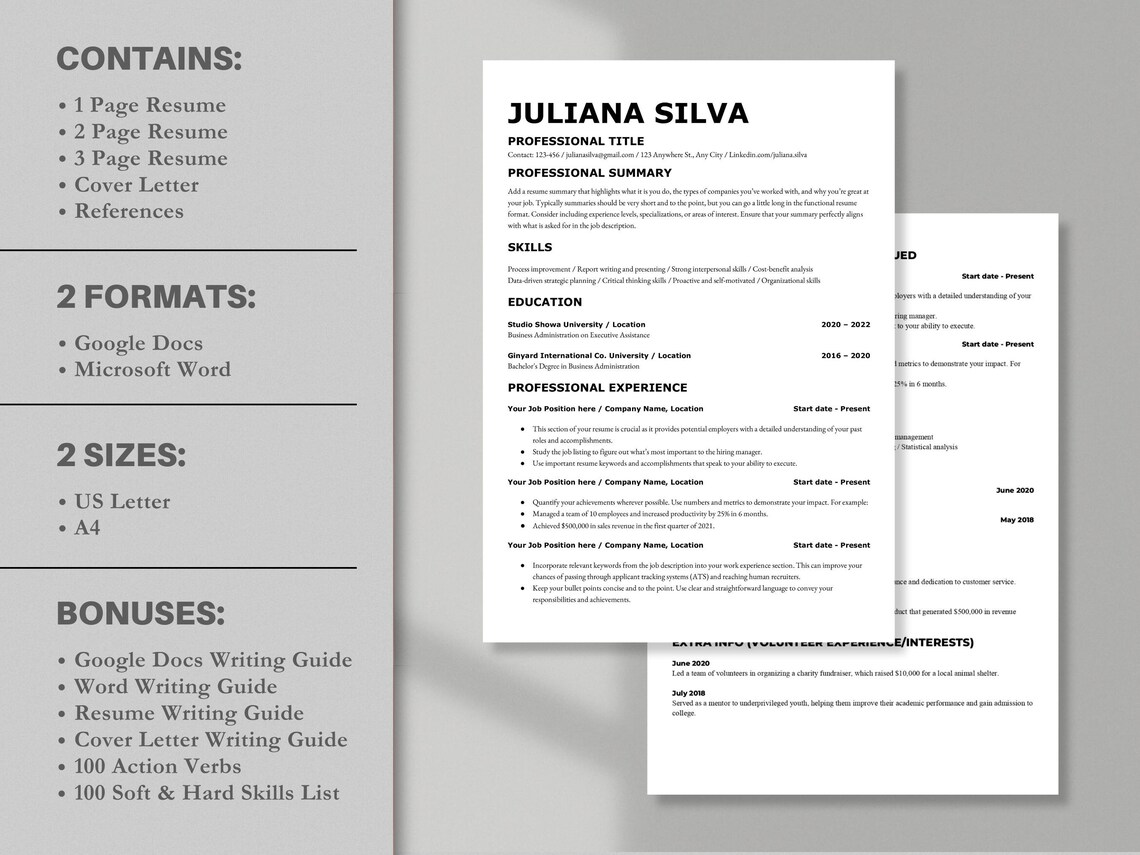 Google Docs Resume Template Google Docs ATS Friendly Word Resume ...