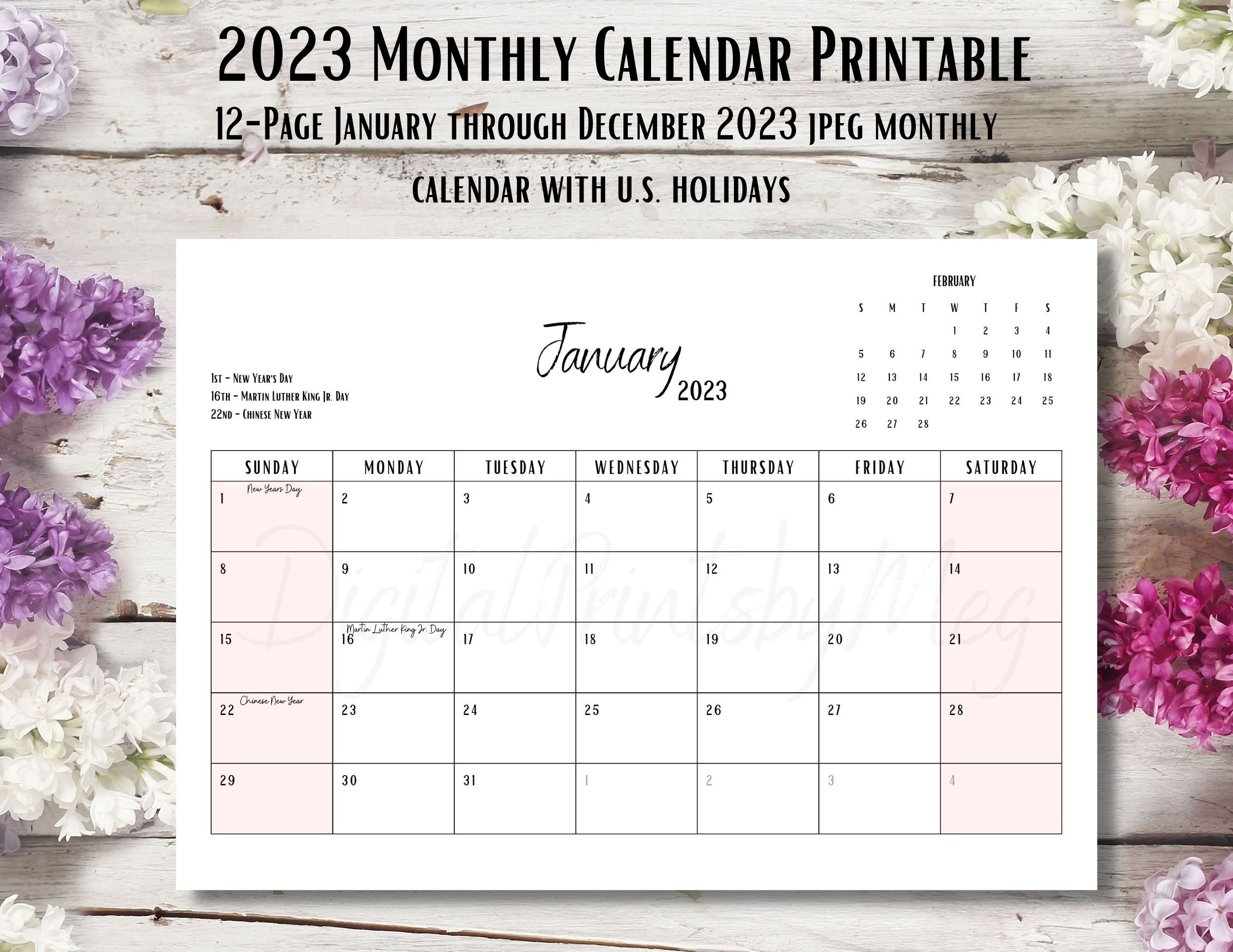 2023 Pink Monthly Calendar Printable: Horizontal Holiday Planner (PDF ...