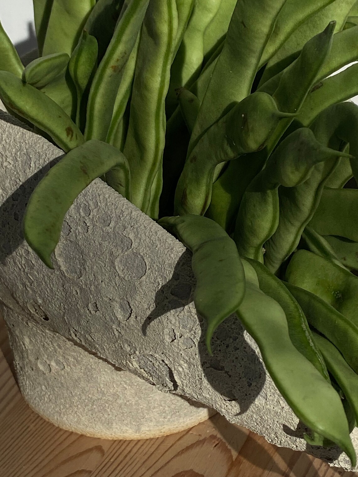 Beige Vase With Craters/ Ceramic Vase With Magma Glaze - Etsy