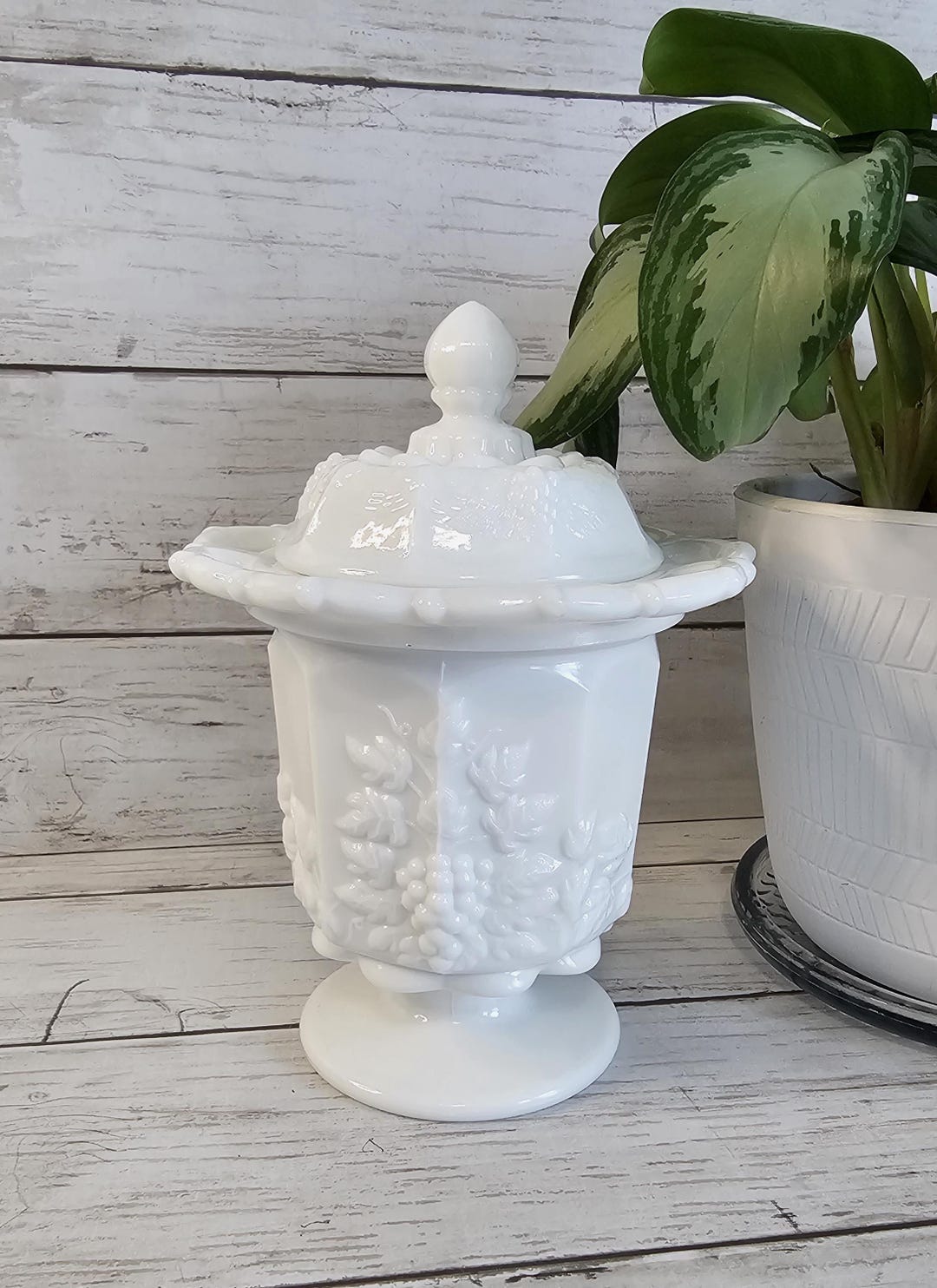 Westmoreland Milk Glass Paneled Grape Spooner With Lid - Etsy