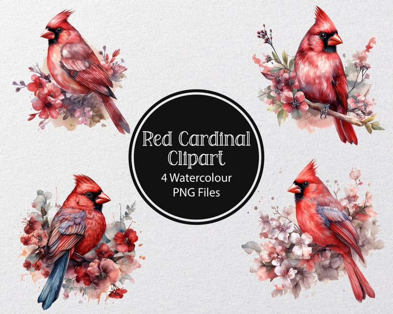 Red Cardinal Png, Spring Bird Png, Bundle Png, Watercolor Png, Digital ...