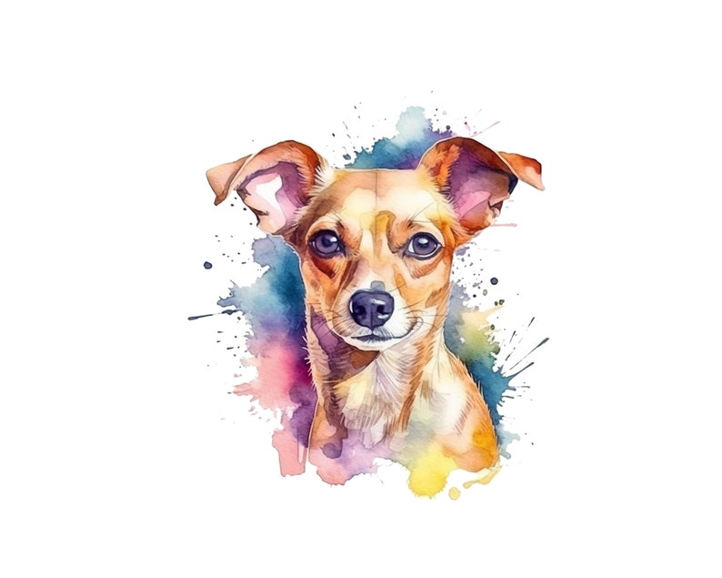 Watercolor Chiweenie, 4 High Quality Pngs, Chiweenie Clipart, Chiweenie ...