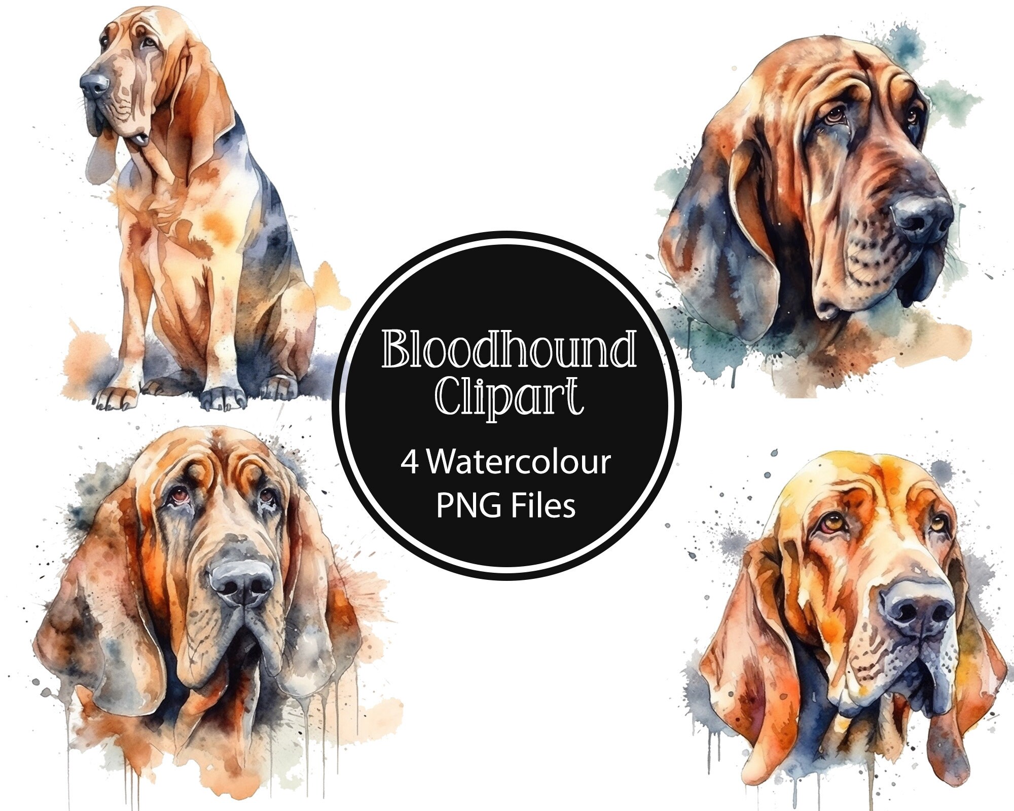 Watercolor Bloodhound, 4 High Quality Pngs, Bloodhound Clipart ...