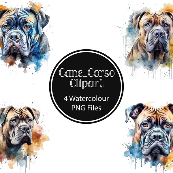 Cane Corso Png - Etsy