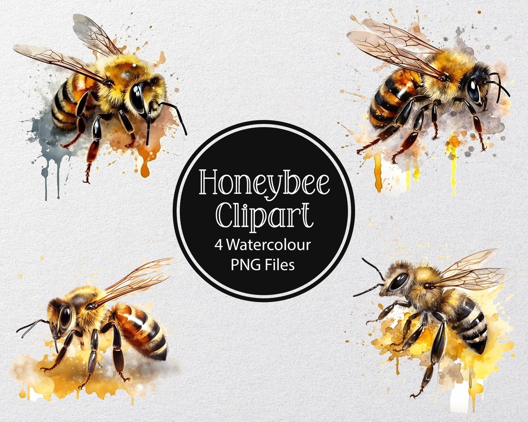 Imágenes Prediseñadas de abeja, paquete de abejas Png, arte de abeja ...