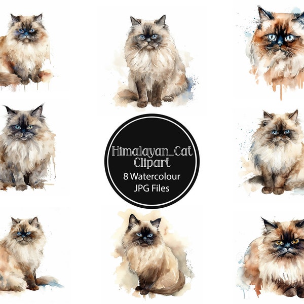 Himalayan Paper Journal - Etsy