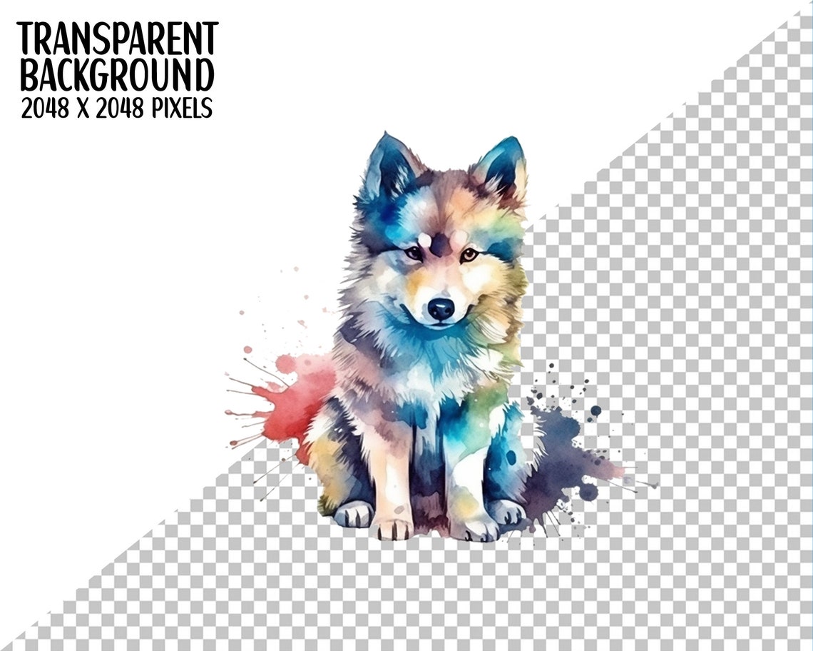 Watercolor Pomsky Png, 4 High Quality Pngs, Pomsky Clipart, Pomsky PNG ...