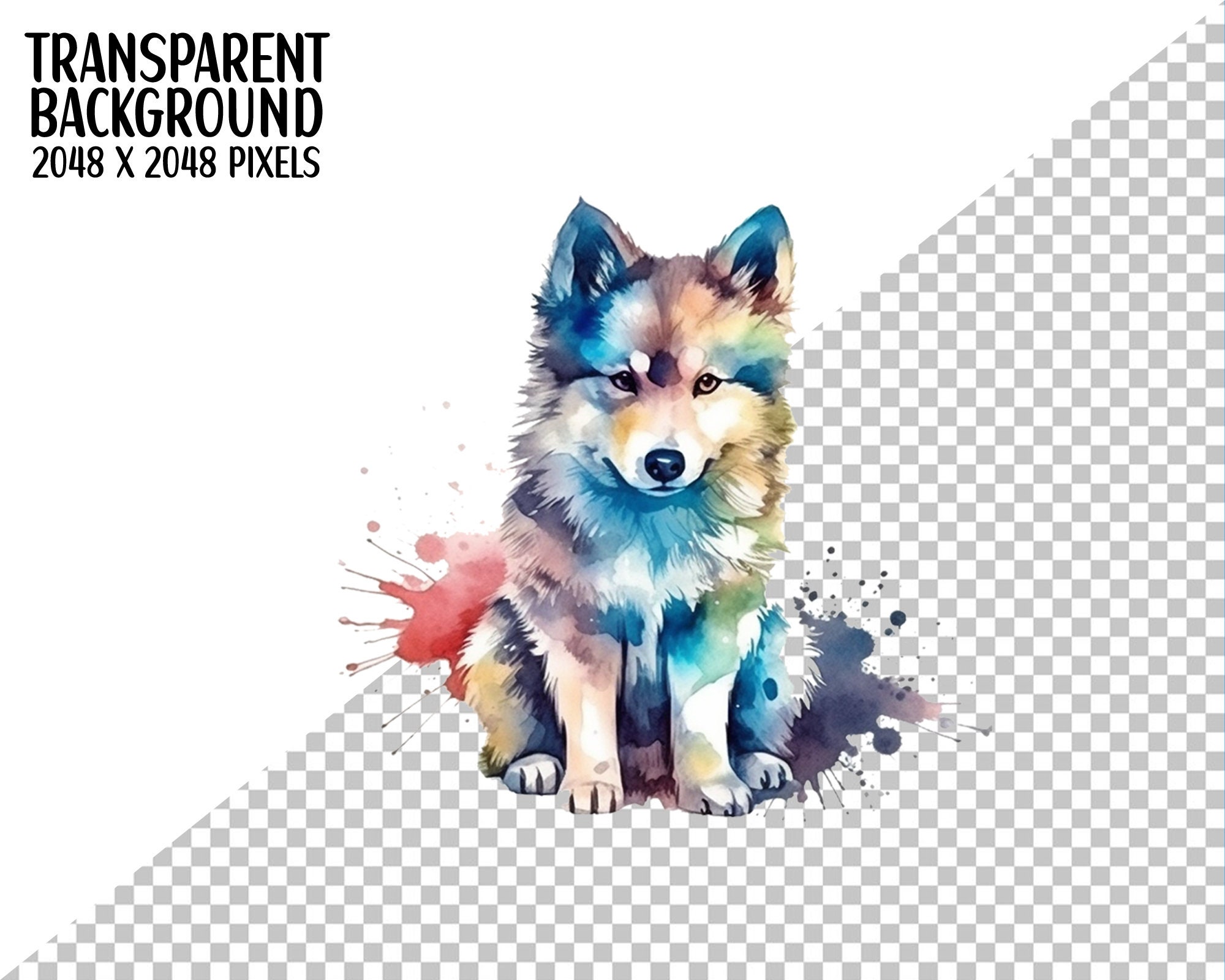 Watercolor Pomsky Png, 4 High Quality Pngs, Pomsky Clipart, Pomsky PNG ...