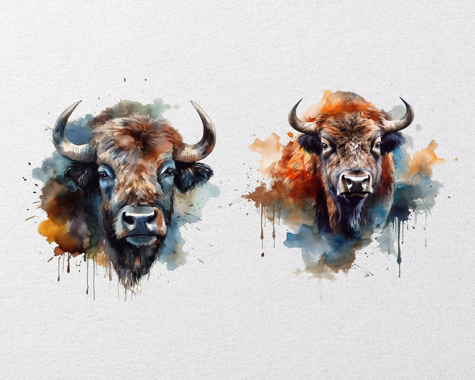 Watercolor Buffalo Png, 4 High Quality Pngs, Buffalo Clipart, Buffalo ...