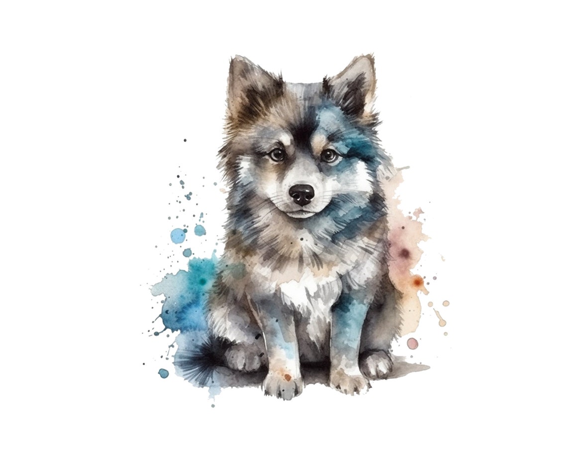 Watercolor Pomsky Png, 4 High Quality Pngs, Pomsky Clipart, Pomsky PNG ...