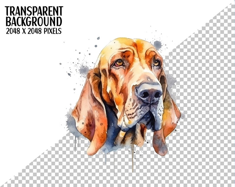 Watercolor Bloodhound, 4 High Quality Pngs, Bloodhound Clipart ...