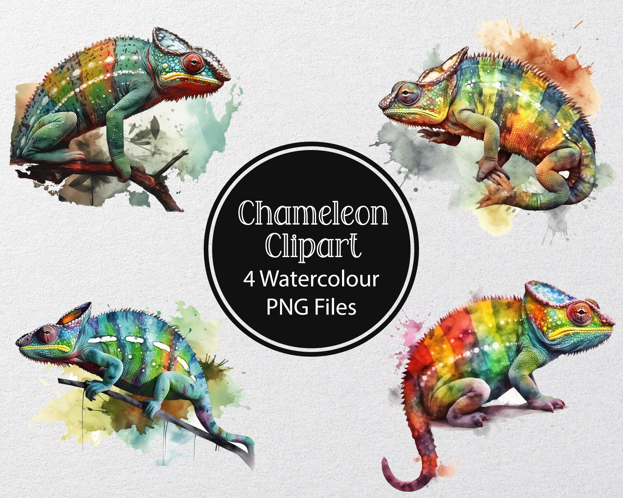 Chameleon Clipart, Bundle Png, Reptile Png, Watercolor Png, Lizard Png ...