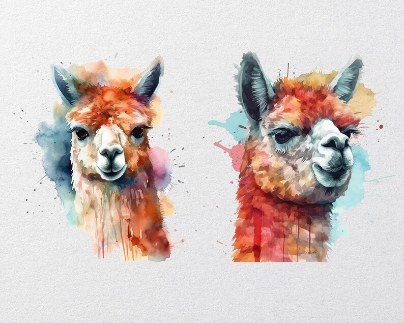 Watercolor Alpaca, 4 High Quality Pngs, Animals Png, Alpaca PNG, Paper ...