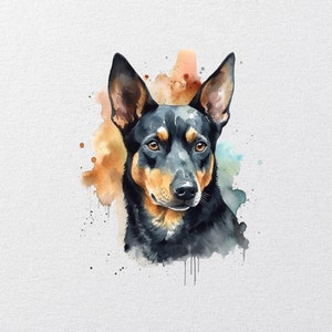 Australian Kelpie Png, Dog Png, Bundle Png, Animals Png, Digital ...