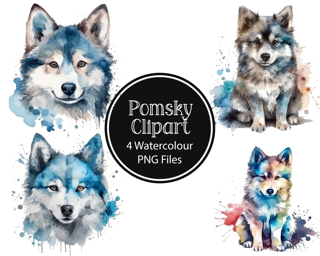Watercolor Pomsky Png, 4 High Quality Pngs, Pomsky Clipart, Pomsky PNG ...