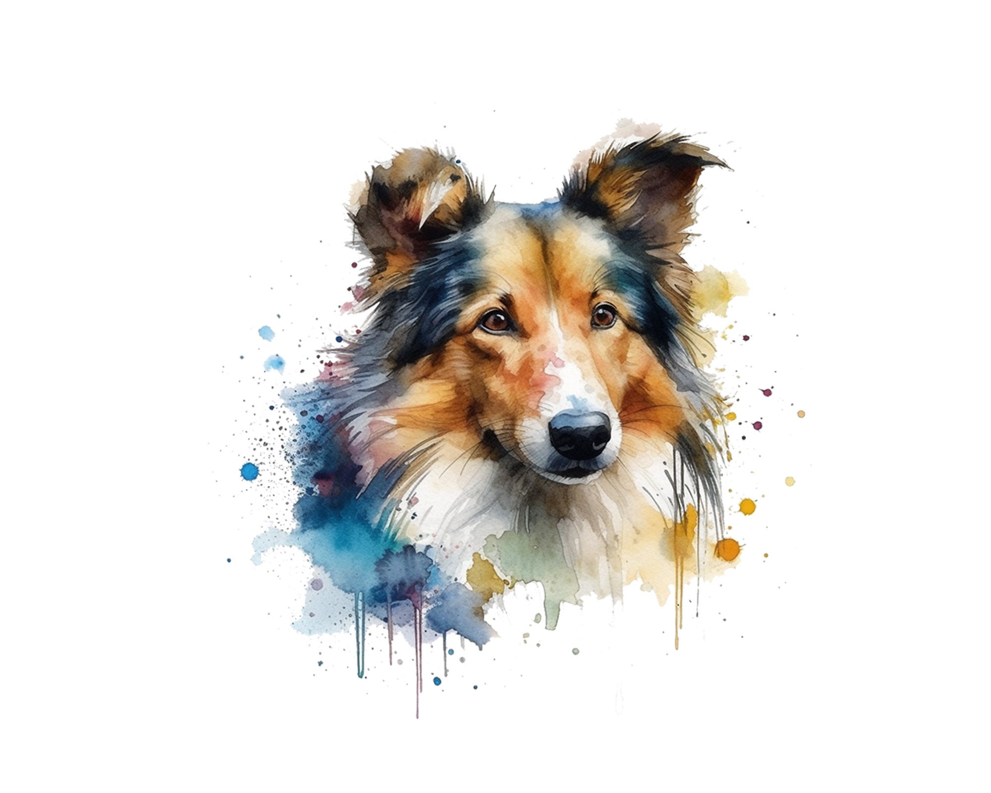 Watercolor Sheltie Png, 4 High Quality Pngs, Sheltie Clipart, Sheltie ...