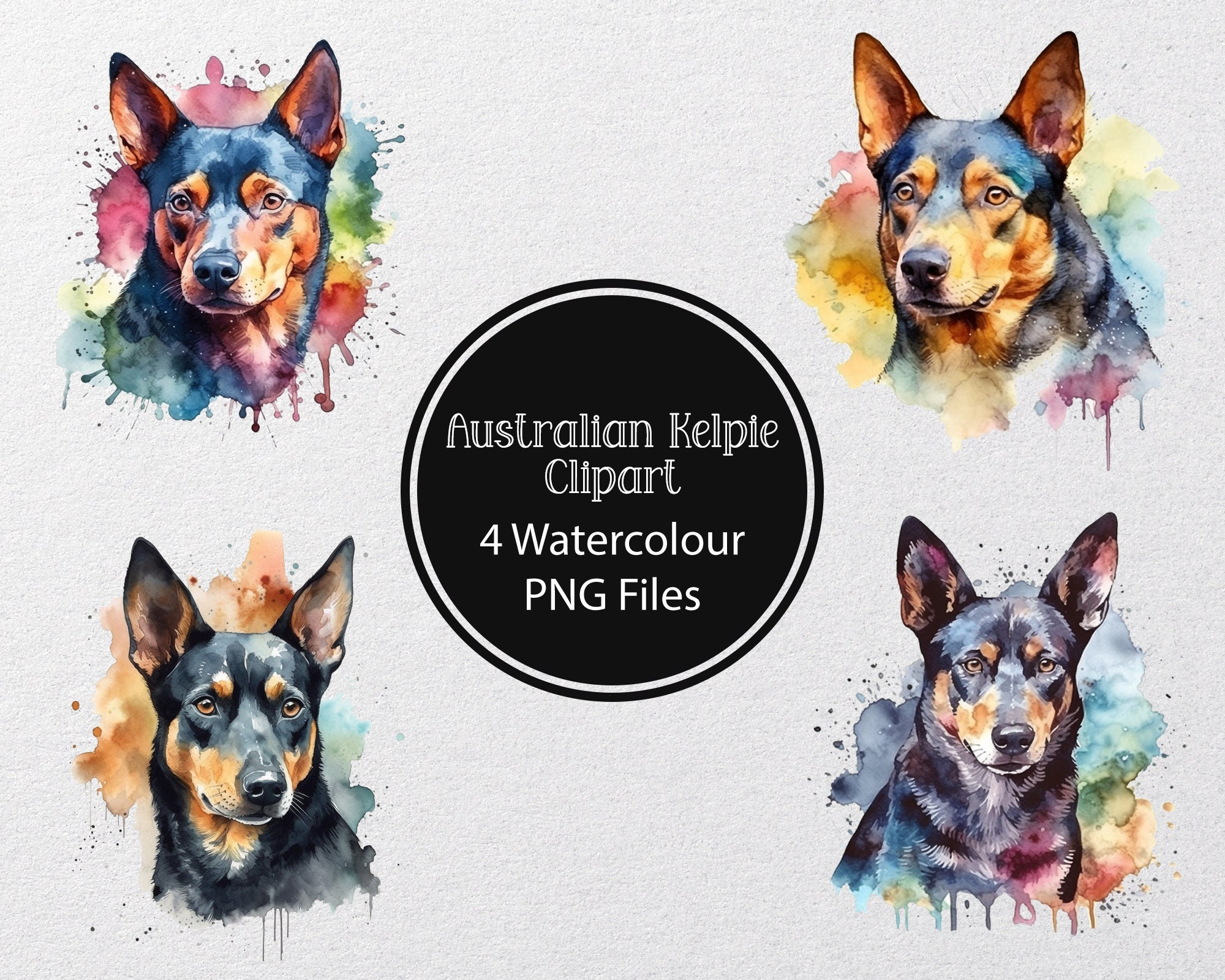 Australian Kelpie Png, Dog Png, Bundle Png, Animals Png, Digital ...