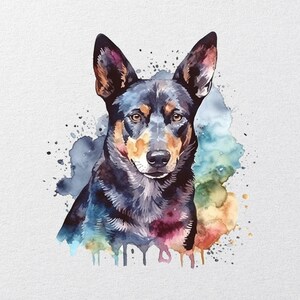 Australian Kelpie Png, Dog Png, Bundle Png, Animals Png, Digital ...