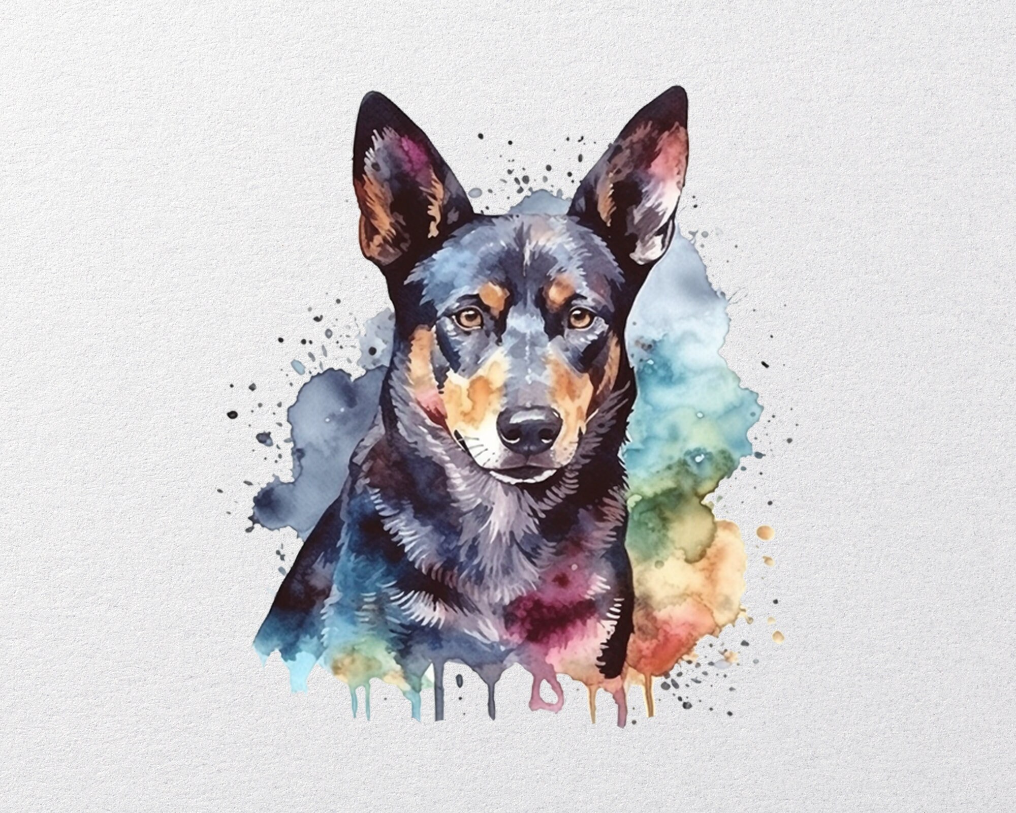 Australian Kelpie Png, Dog Png, Bundle Png, Animals Png, Digital ...