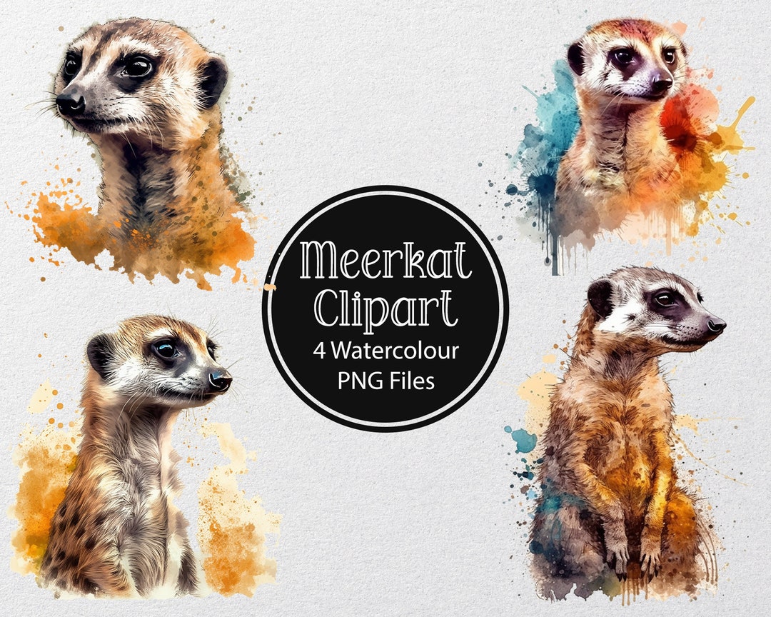Watercolor Meerkat Png, 4 High Quality Pngs, Meerkat Clipart, Meerkat ...