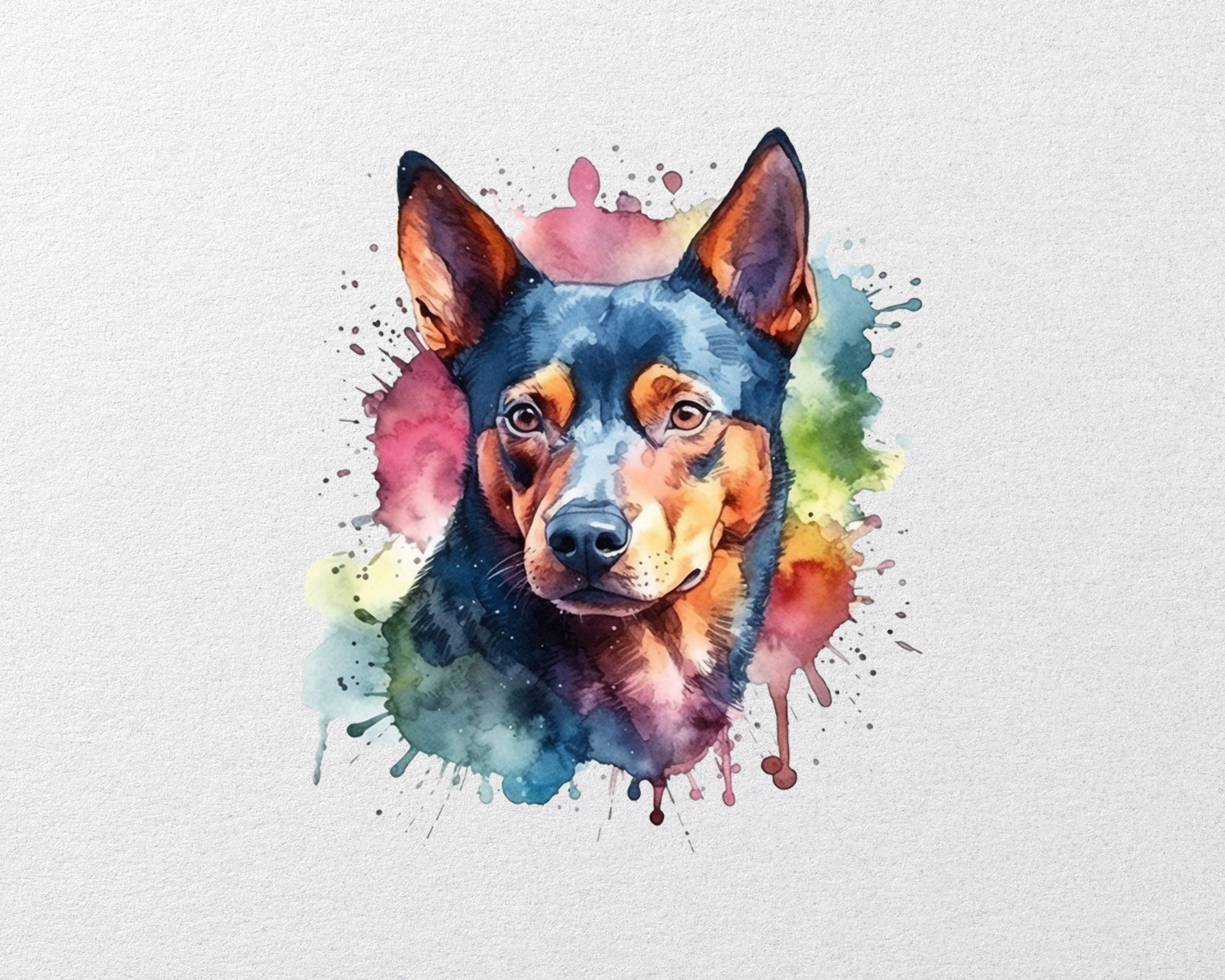 Australian Kelpie Png, Dog Png, Bundle Png, Animals Png, Digital ...