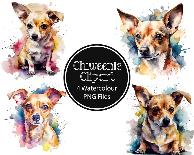 Watercolor Chiweenie, 4 High Quality Pngs, Chiweenie Clipart, Chiweenie ...