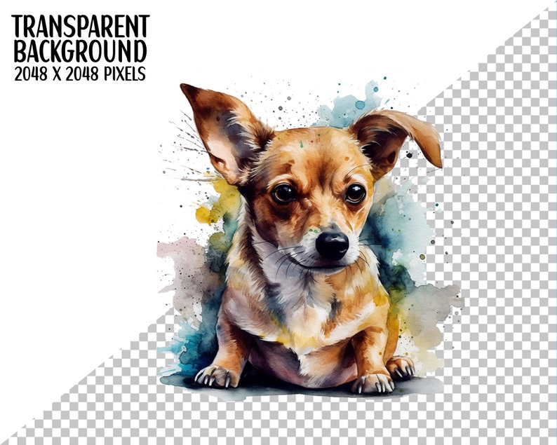 Watercolor Chiweenie, 4 High Quality Pngs, Chiweenie Clipart, Chiweenie ...