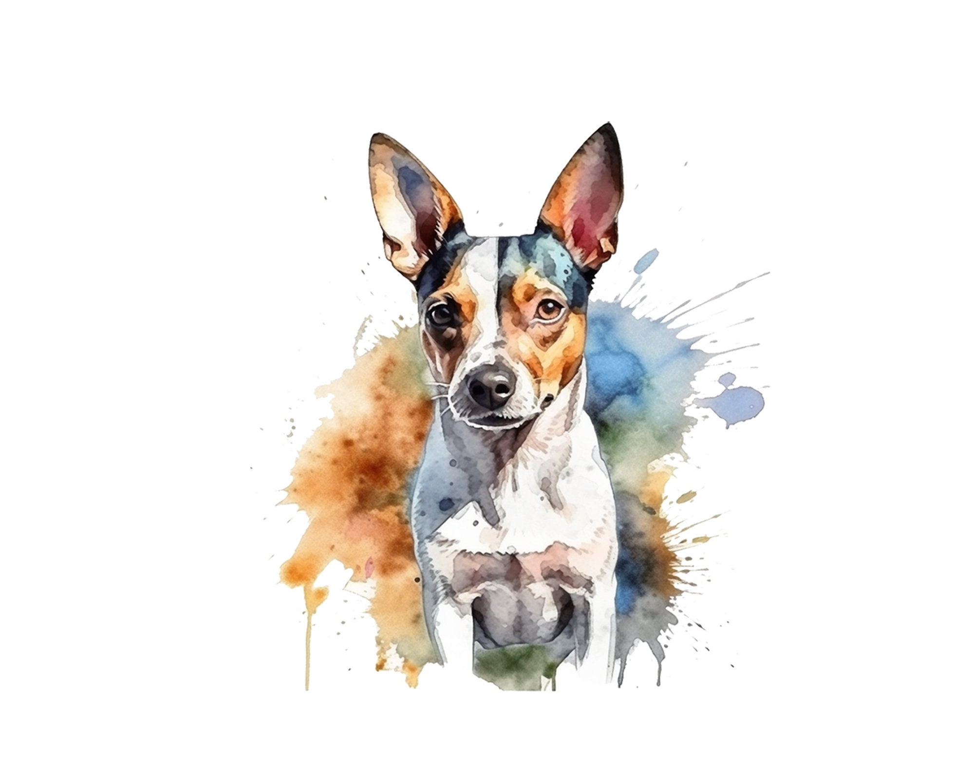 Watercolor Rat Terrier, 4 High Quality Pngs, Rat Terrier Clipart ...
