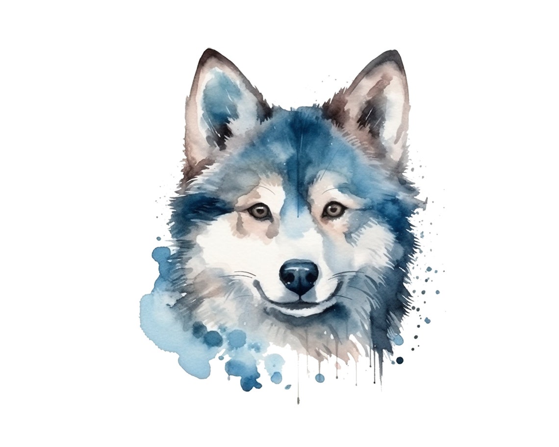 Watercolor Pomsky Png, 4 High Quality Pngs, Pomsky Clipart, Pomsky PNG ...