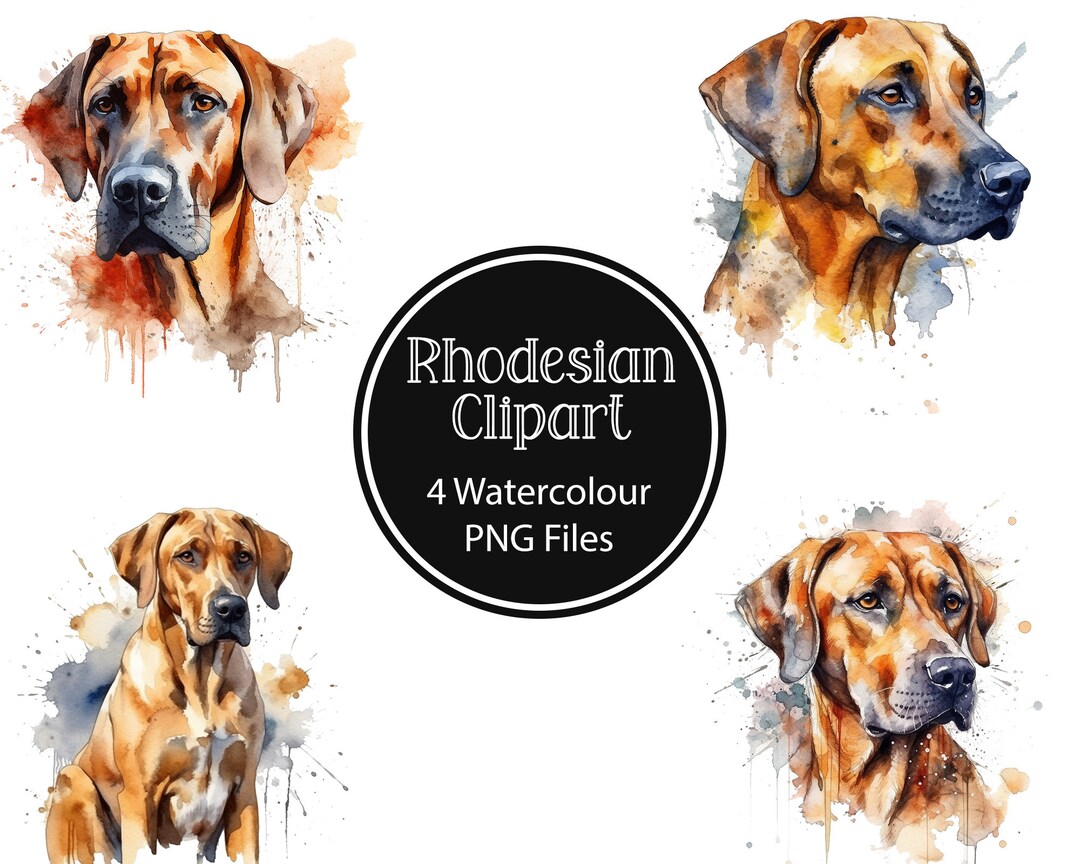 Watercolor Rhodesian Ridgeback 4 High Quality Pngs Rhodesian - Etsy