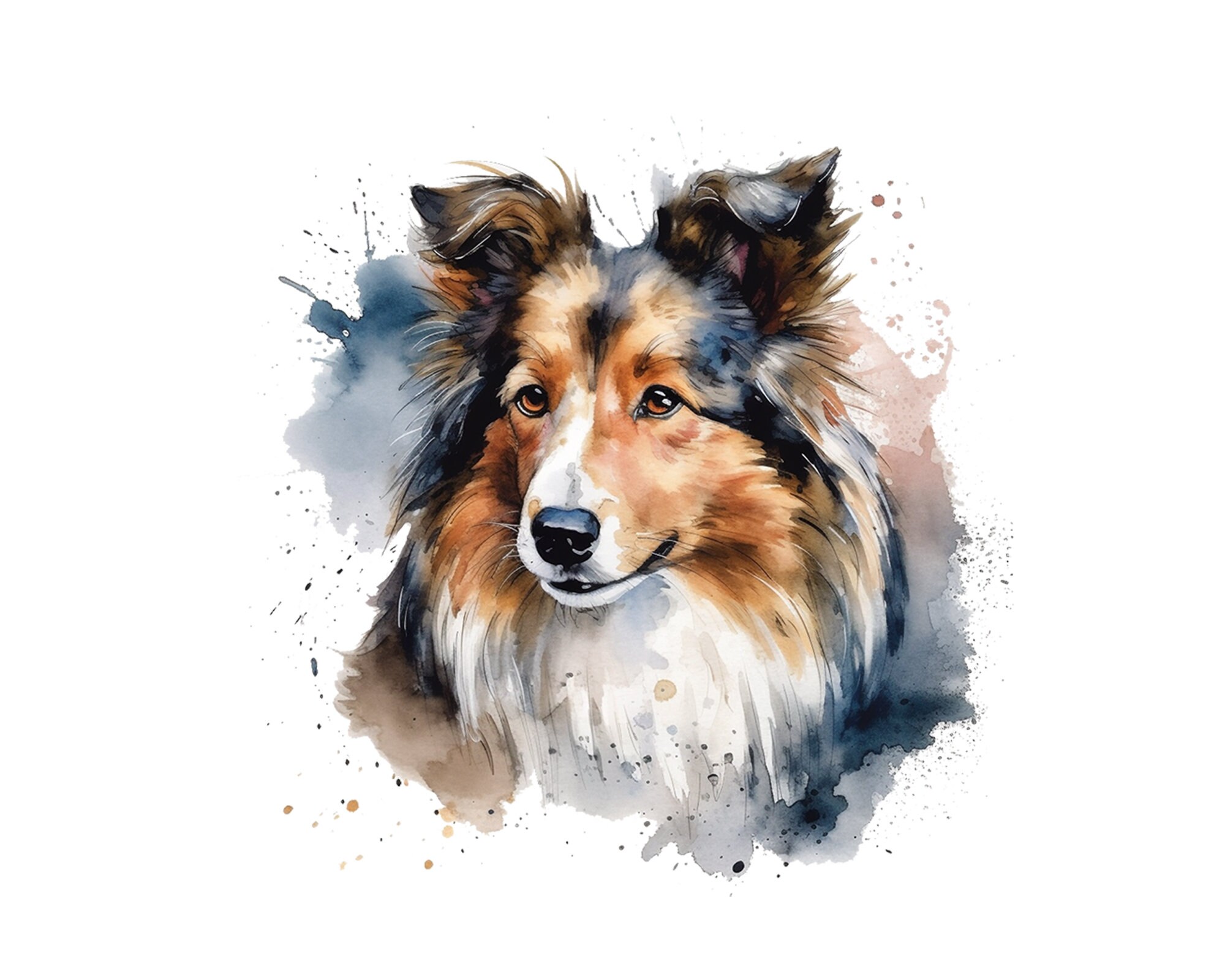 Watercolor Sheltie Png, 4 High Quality Pngs, Sheltie Clipart, Sheltie ...