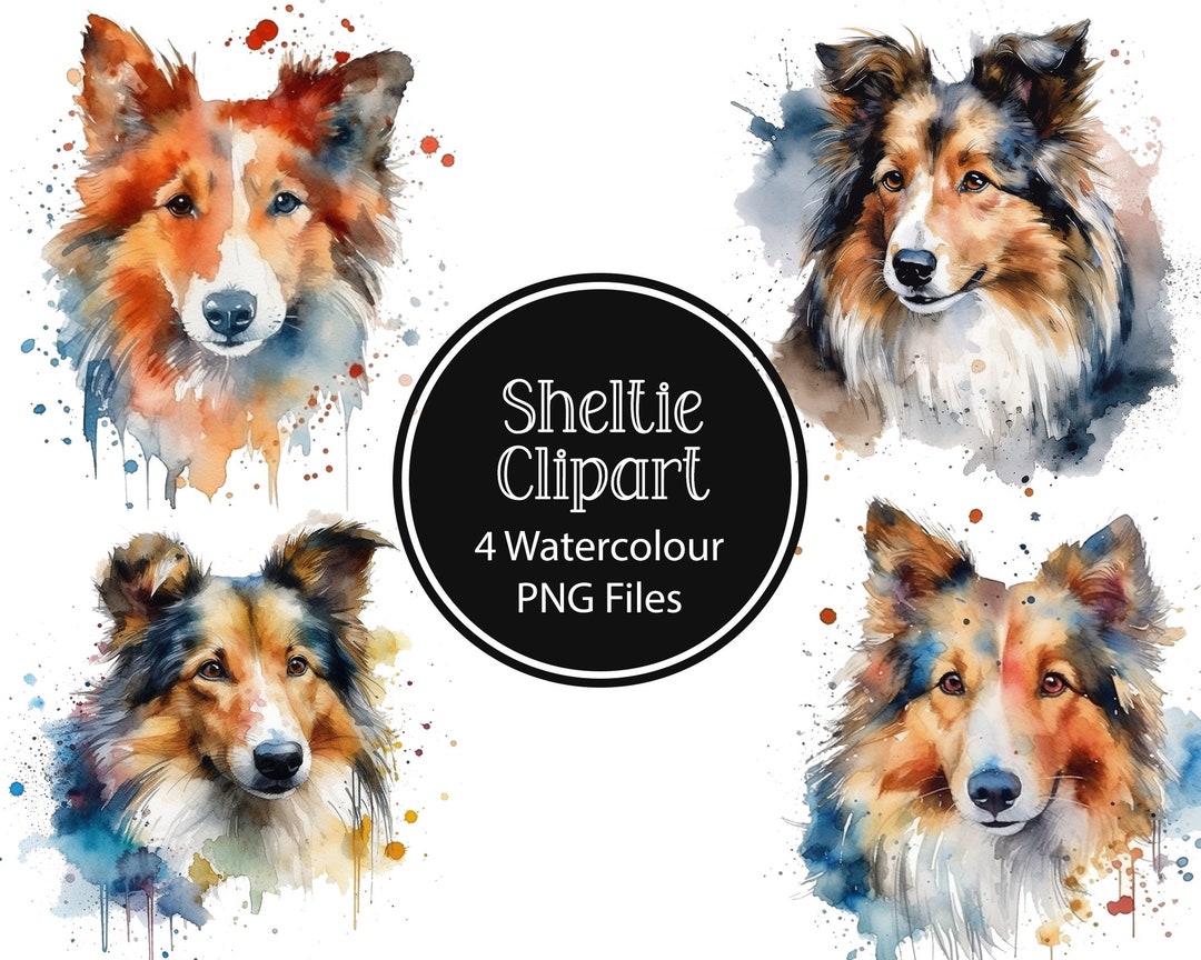 Watercolor Sheltie Png, 4 High Quality Pngs, Sheltie Clipart, Sheltie ...