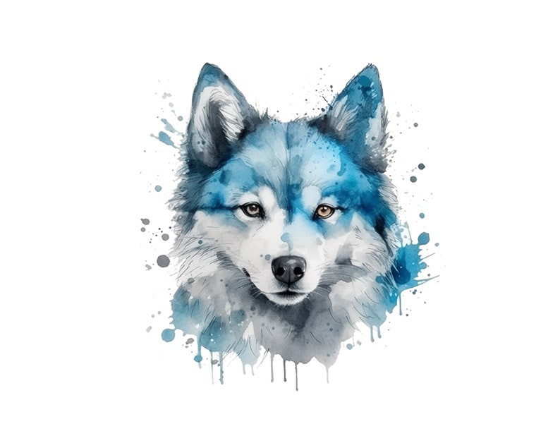 Watercolor Pomsky Png, 4 High Quality Pngs, Pomsky Clipart, Pomsky PNG ...