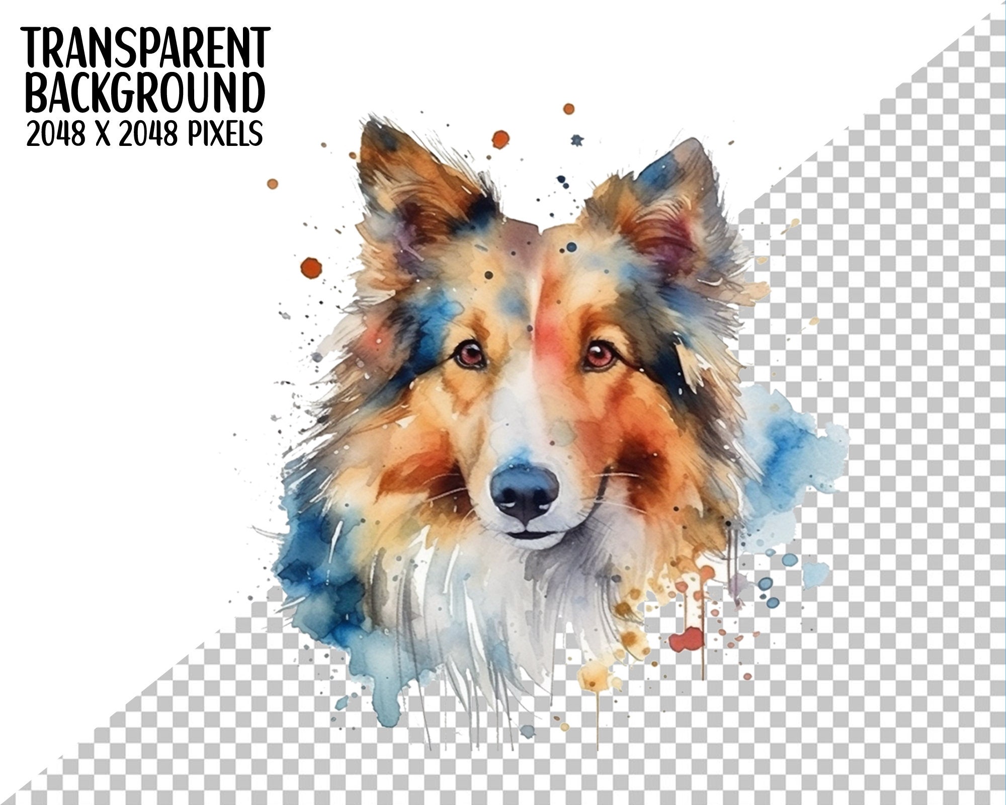 Watercolor Sheltie Png, 4 High Quality Pngs, Sheltie Clipart, Sheltie ...