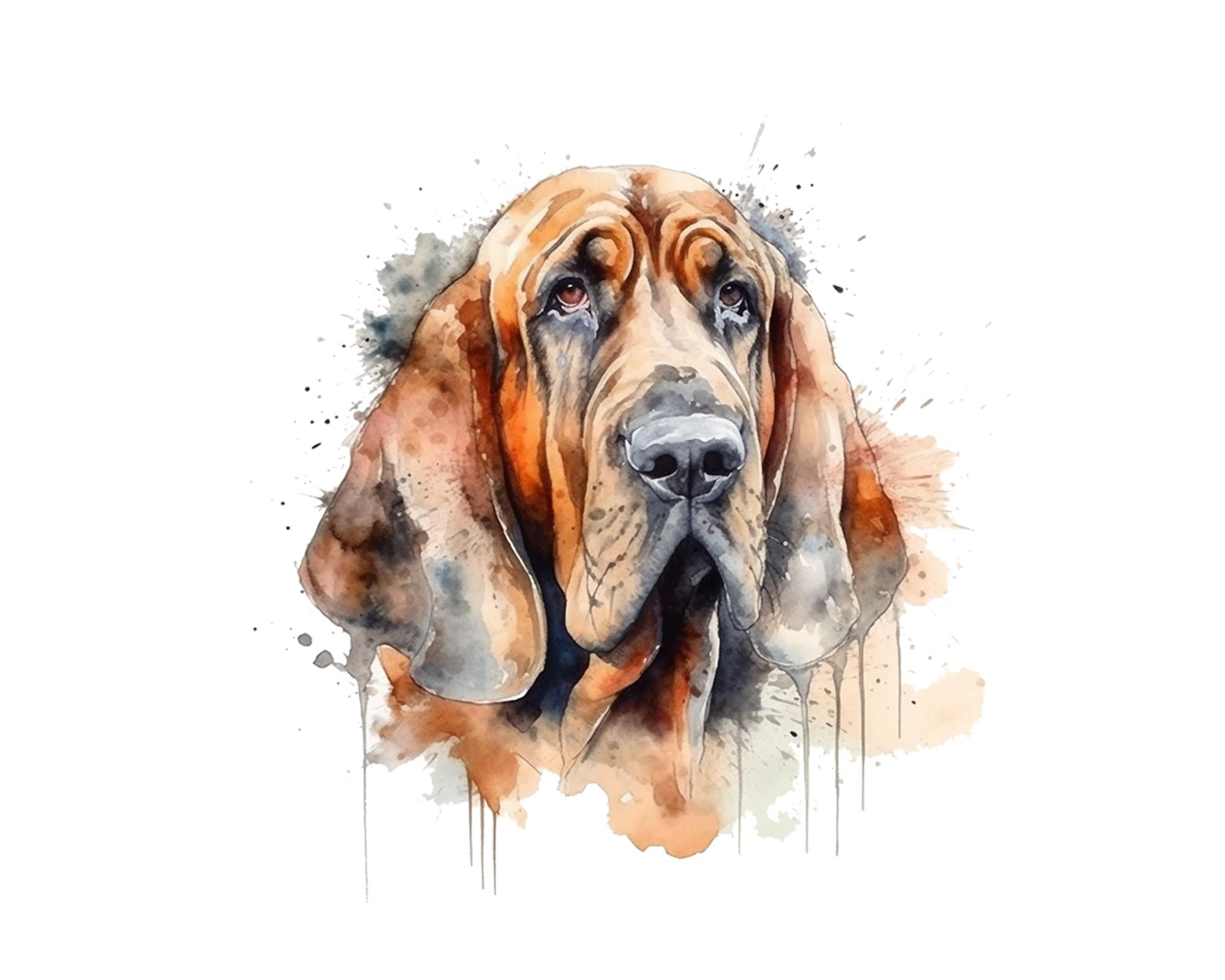 Watercolor Bloodhound, 4 High Quality Pngs, Bloodhound Clipart ...